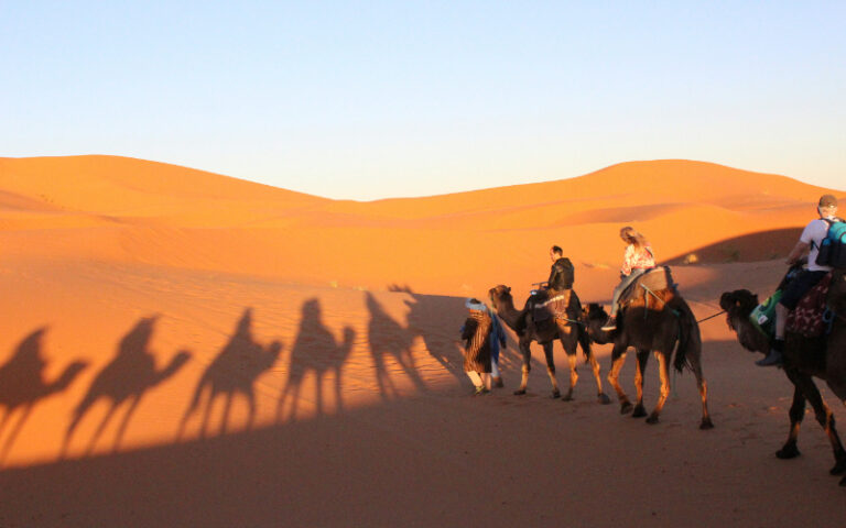 Guided Tours | Pioneer Valley Travel
